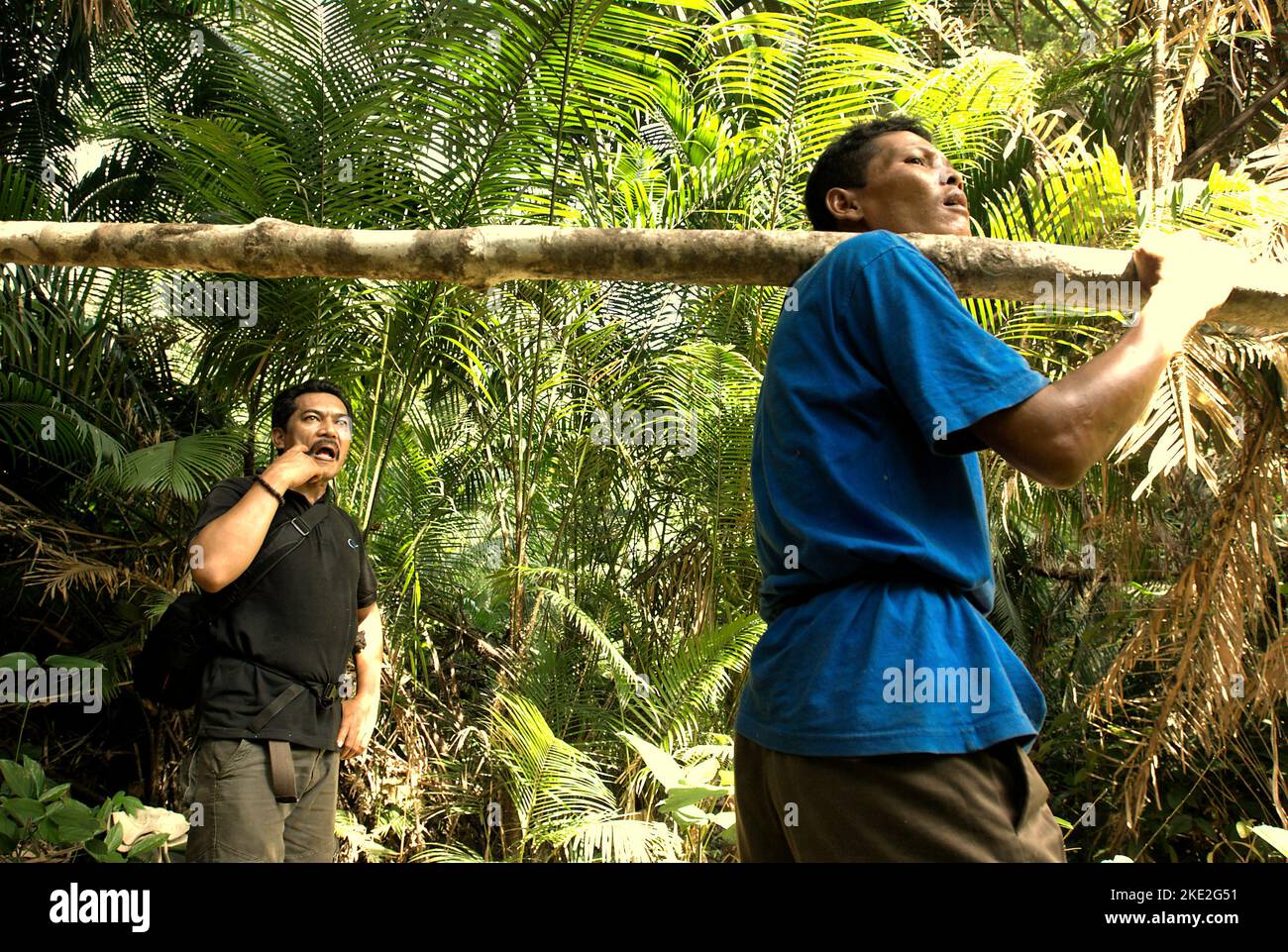 Ujung kulon national park rhino hi-res stock photography and images - Alamy