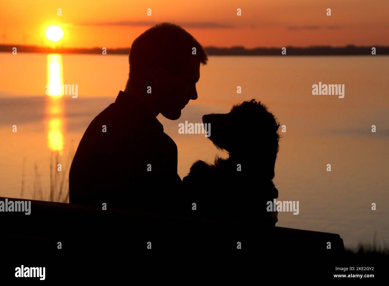 human and English Cocker Spaniel Stock Photo - Alamy