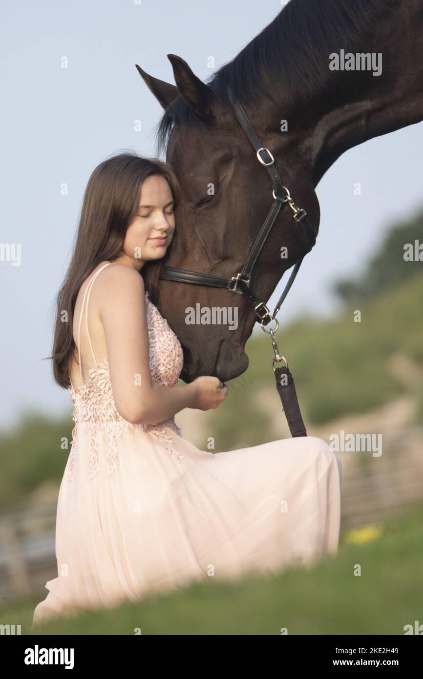 Holstein Horse with woman Stock Photo - Alamy
