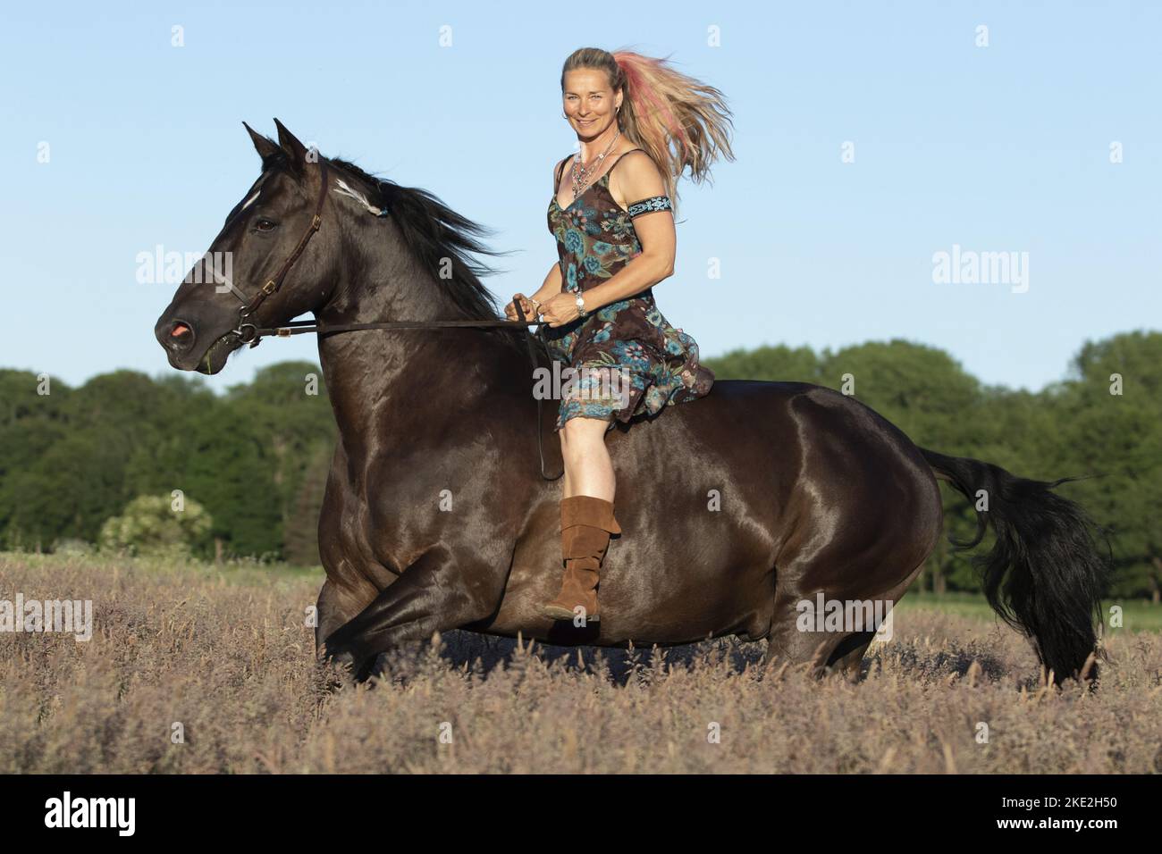woman and Paint Horse Stock Photo - Alamy