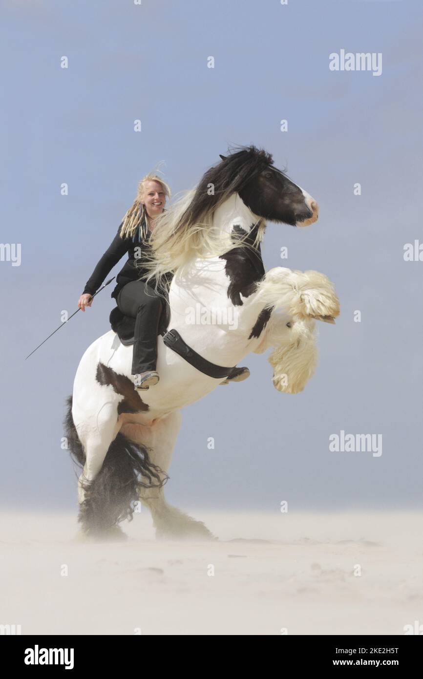 woman with Irish Tinker Stock Photo - Alamy