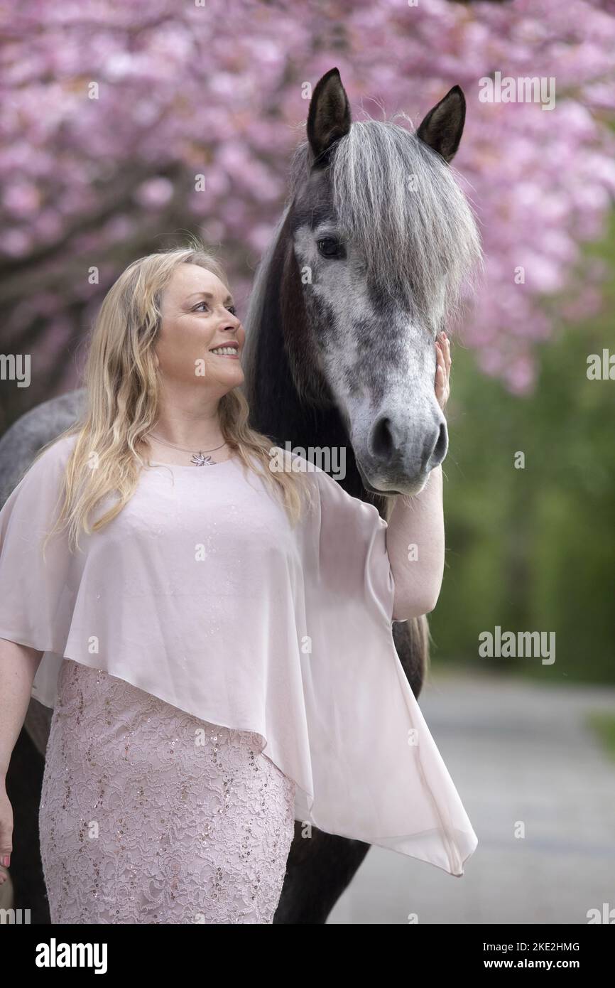 Berber Horse Portrait Stock Photo - Alamy