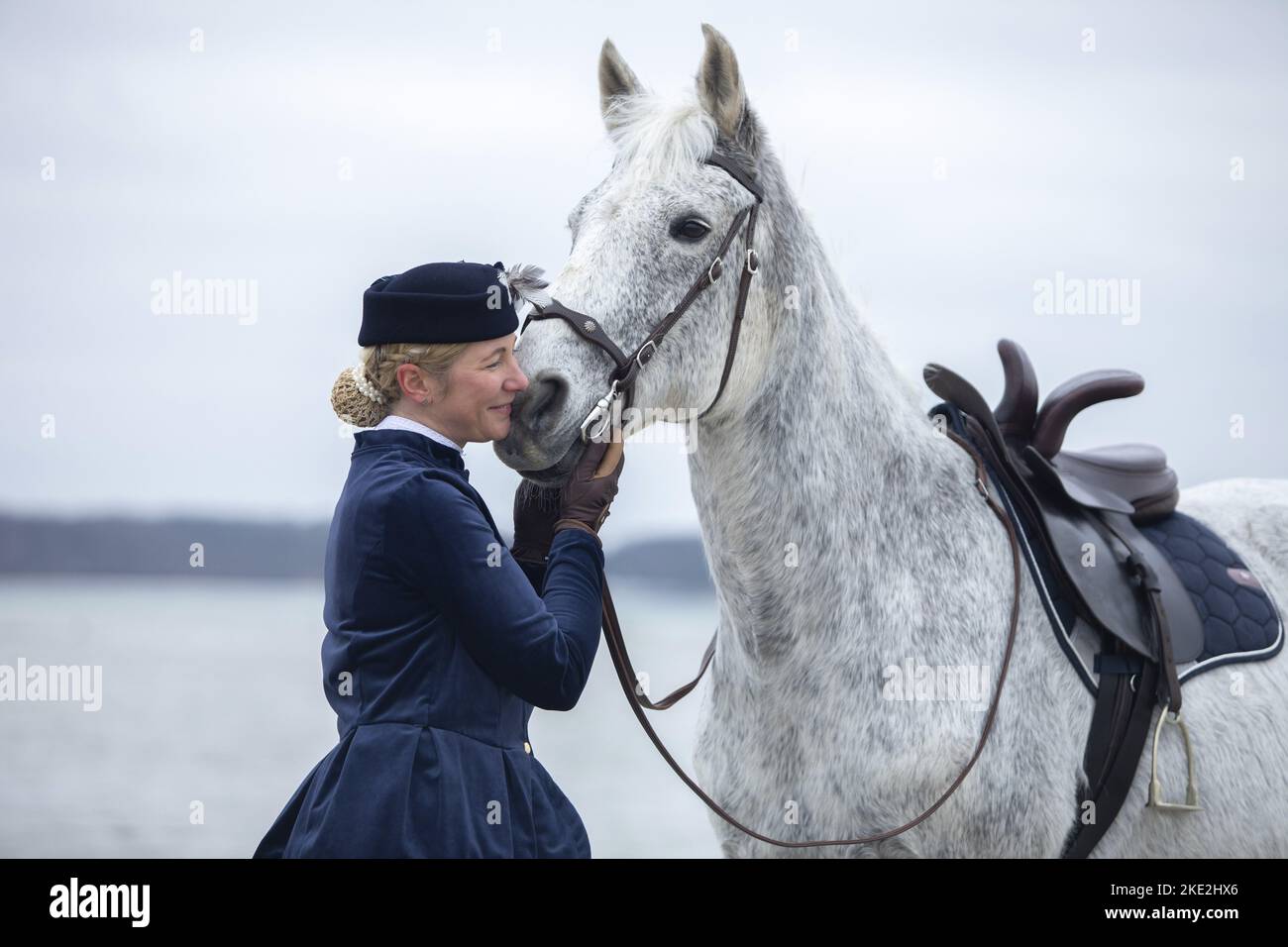 Pillion saddle horse hi-res stock photography and images - Alamy