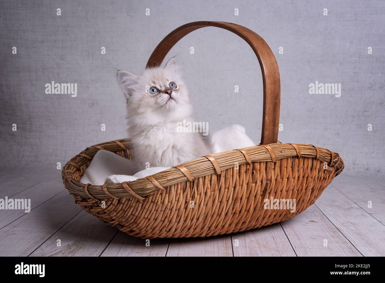Sacred baskets hi-res stock photography and images - Alamy