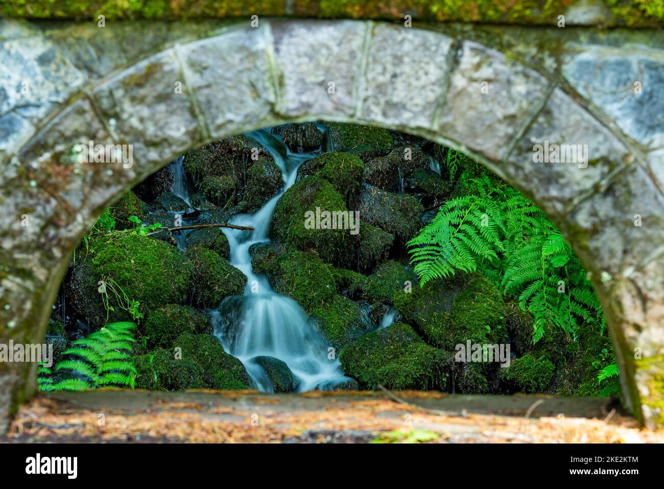 Numerous Waterfalls Dot the Landscape in Olympic National Park in ...