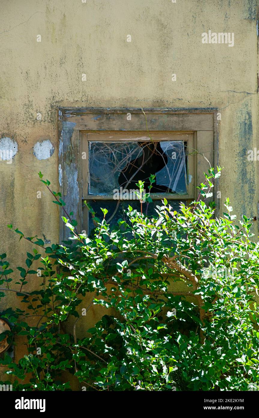 Old broken window rustic building in a distressed yellow siding with ...
