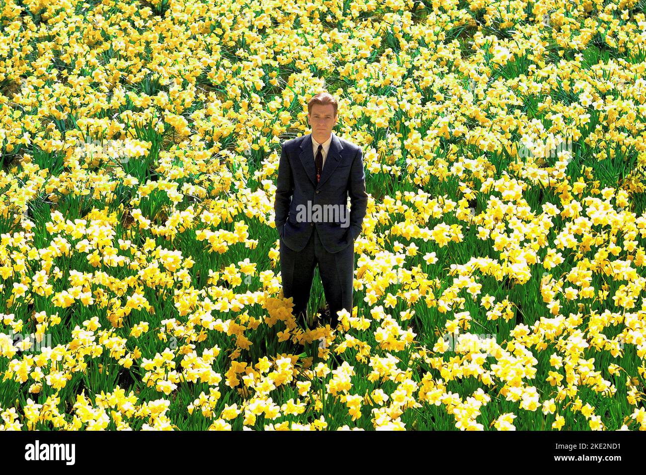 Big fish 2003 hi-res stock photography and images - Alamy