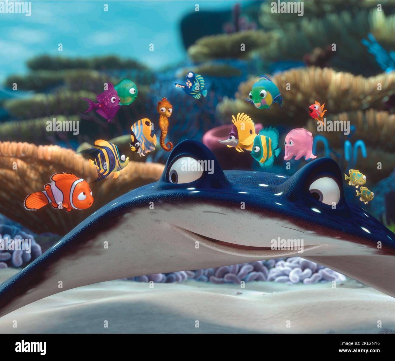 FINDING NEMO, NEMO, MR. RAY, 2003 Stock Photo - Alamy