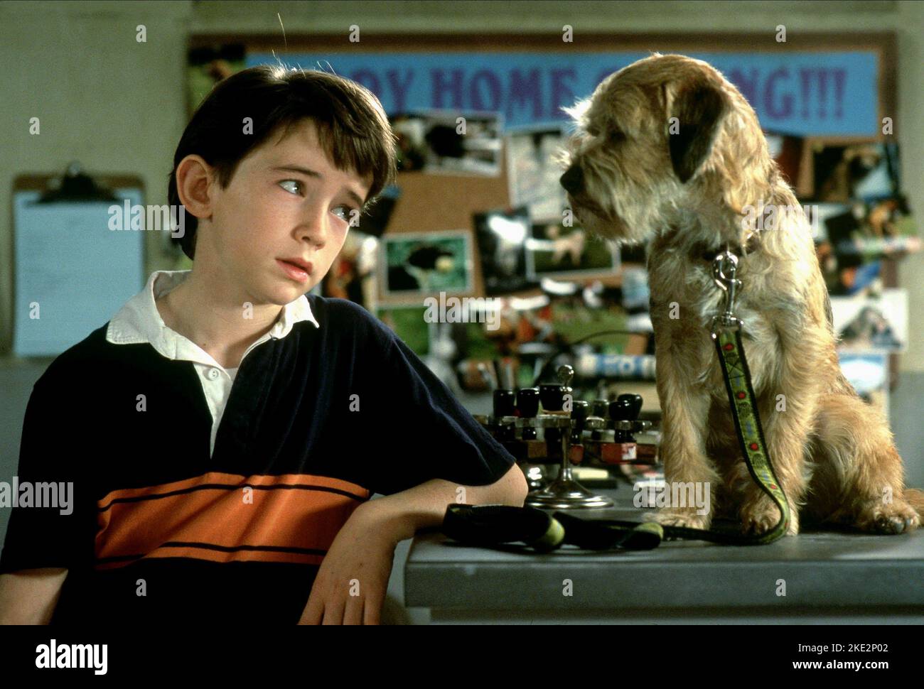 GOOD BOY!, LIAM AIKEN, HUBBLE, 2003 Stock Photo - Alamy