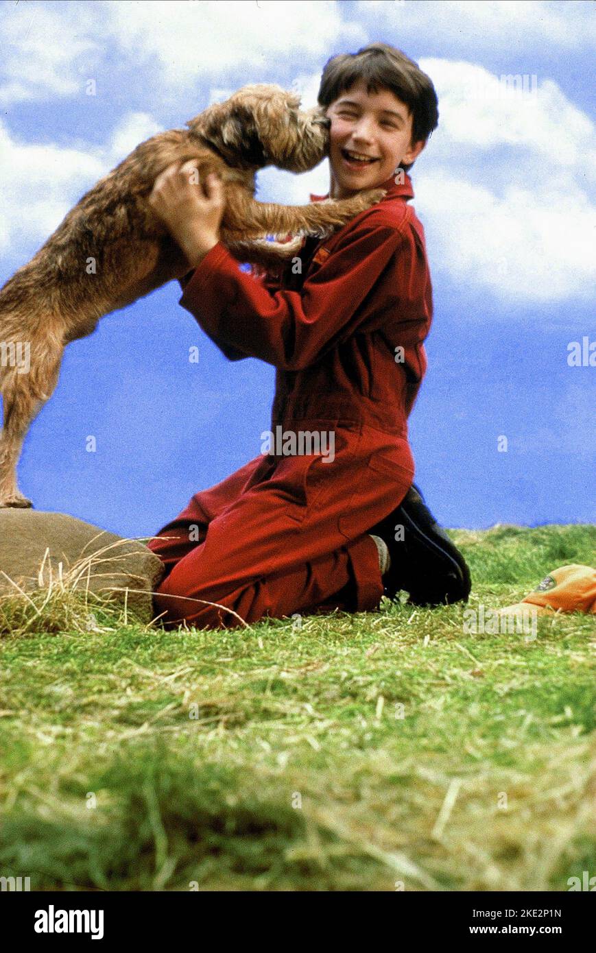 Liam aiken hi-res stock photography and images - Alamy