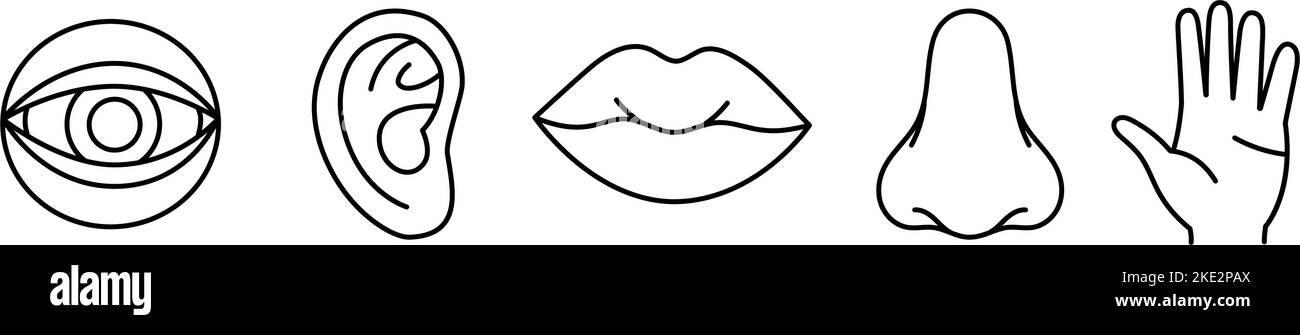 Five senses Black and White Stock Photos & Images - Alamy