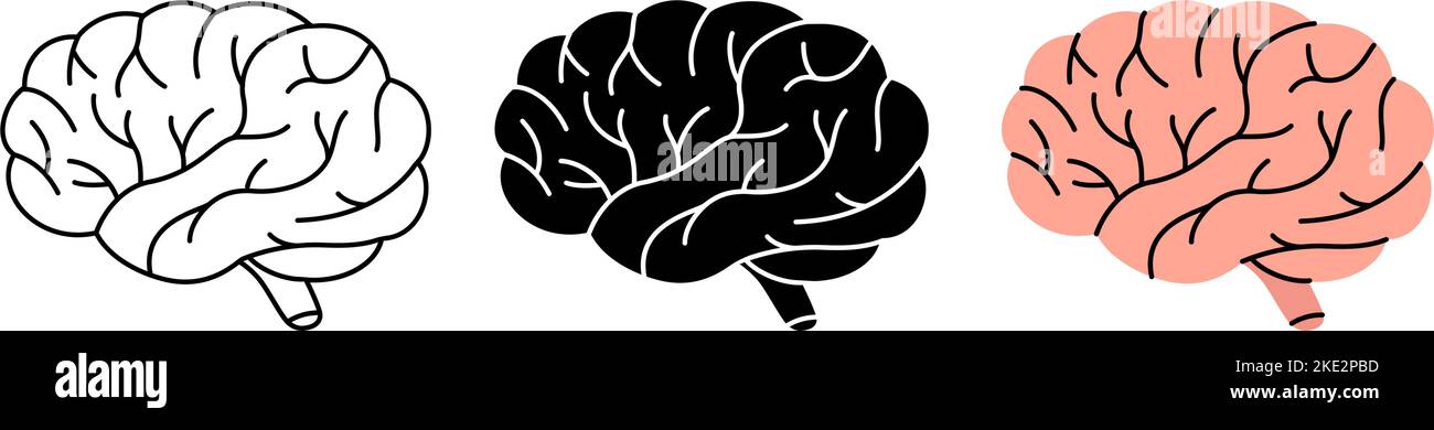 Set of human brain symbols. Human brain icons in color, black and thin ...
