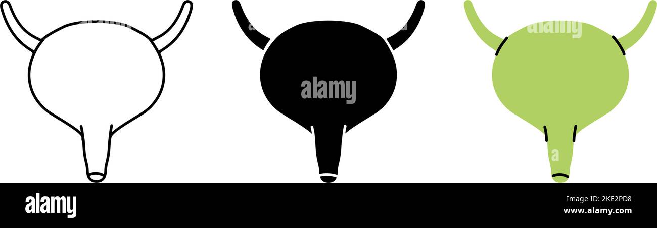 Set of human bladder symbols. Human bladder icons in color, black and ...