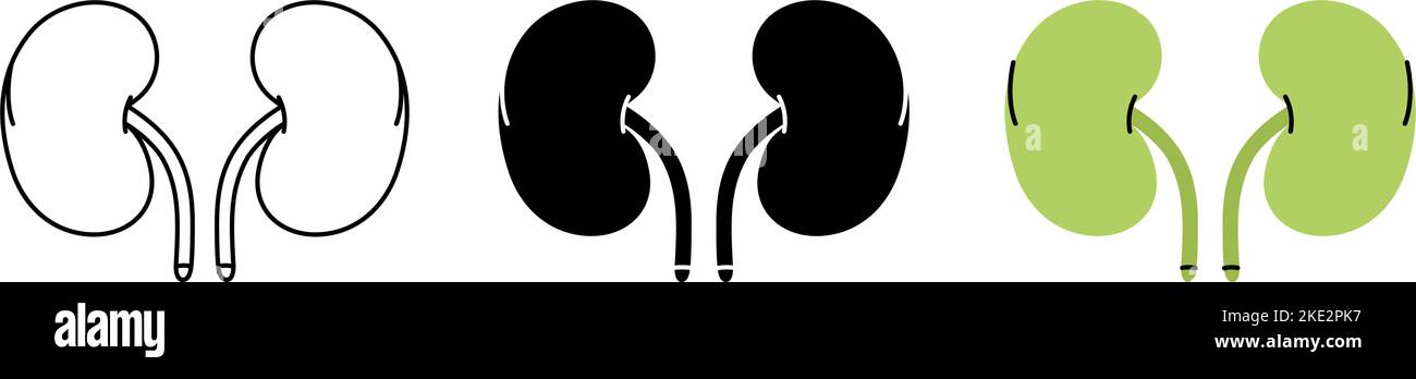 Set of human kidneys symbols. Human kidneys icons in color, black and ...