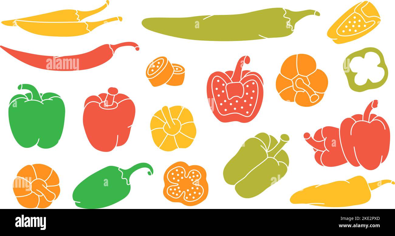 Colored pepper hand drawn set. Different peppers sketch illustration ...