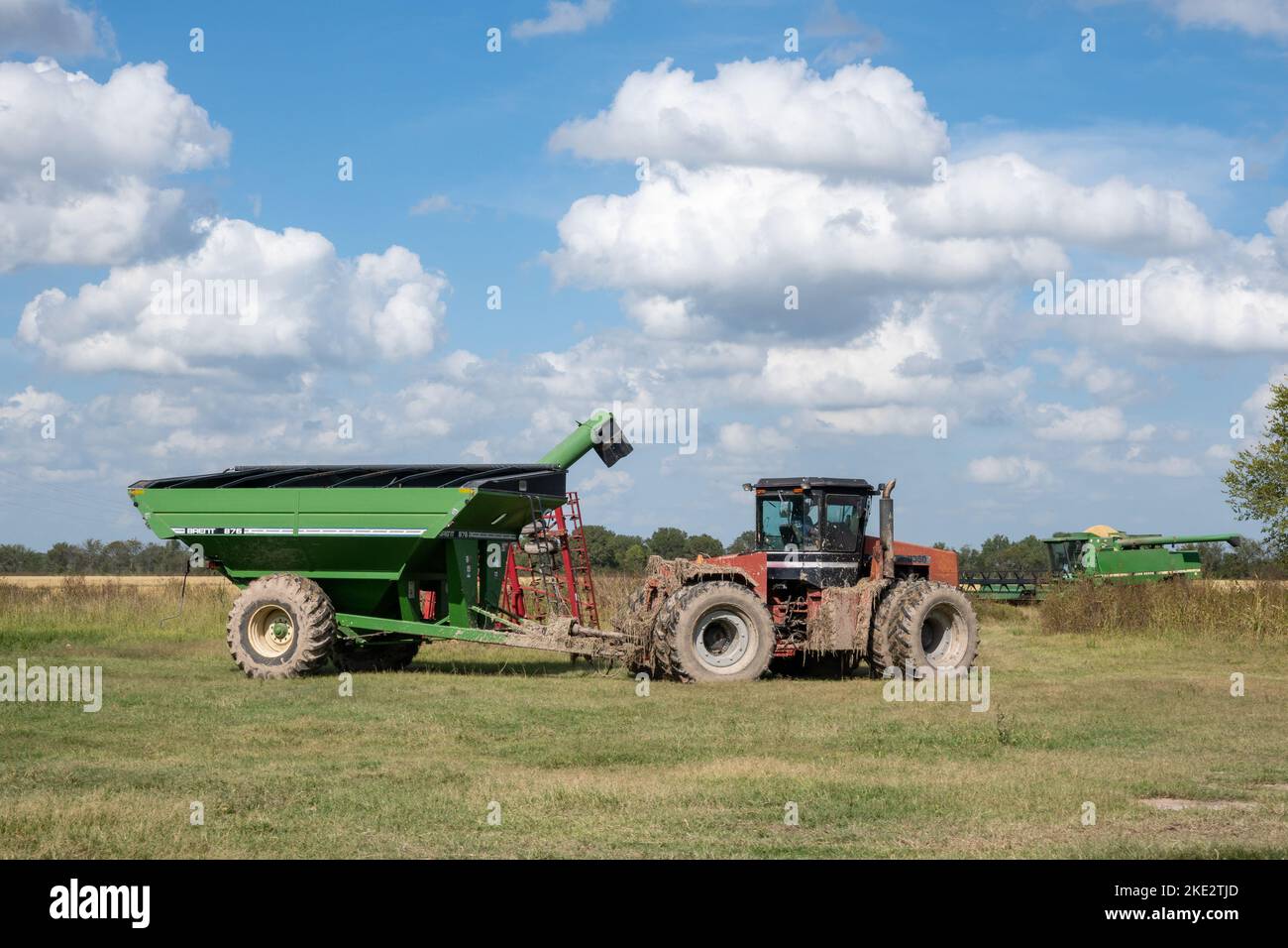 A farmer operating a John Deere combine harvesting rice in a rice field ...