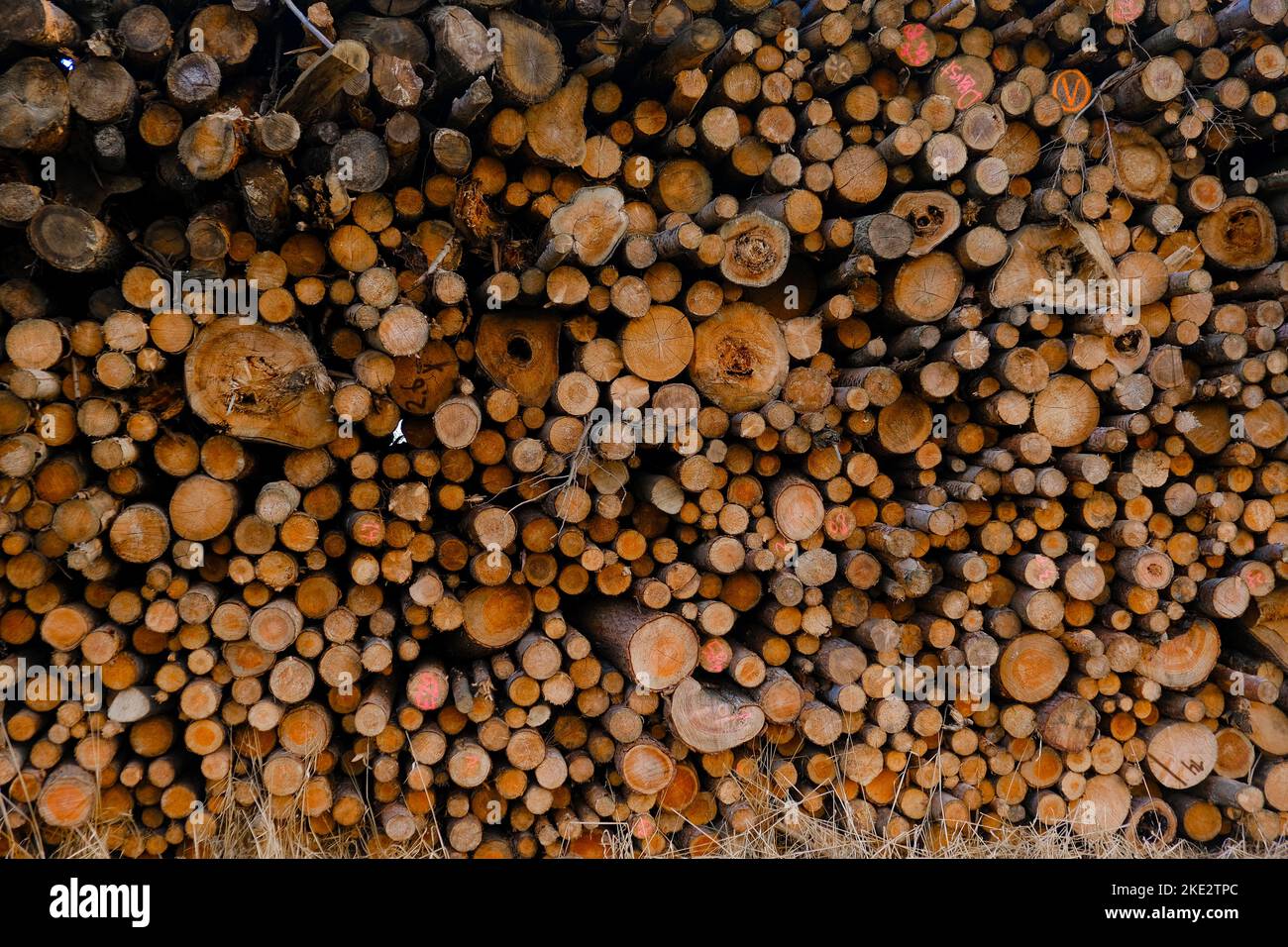 Wooden Logs.Heating season.solid fuel. Tree Trunks For Heating.Dry ...