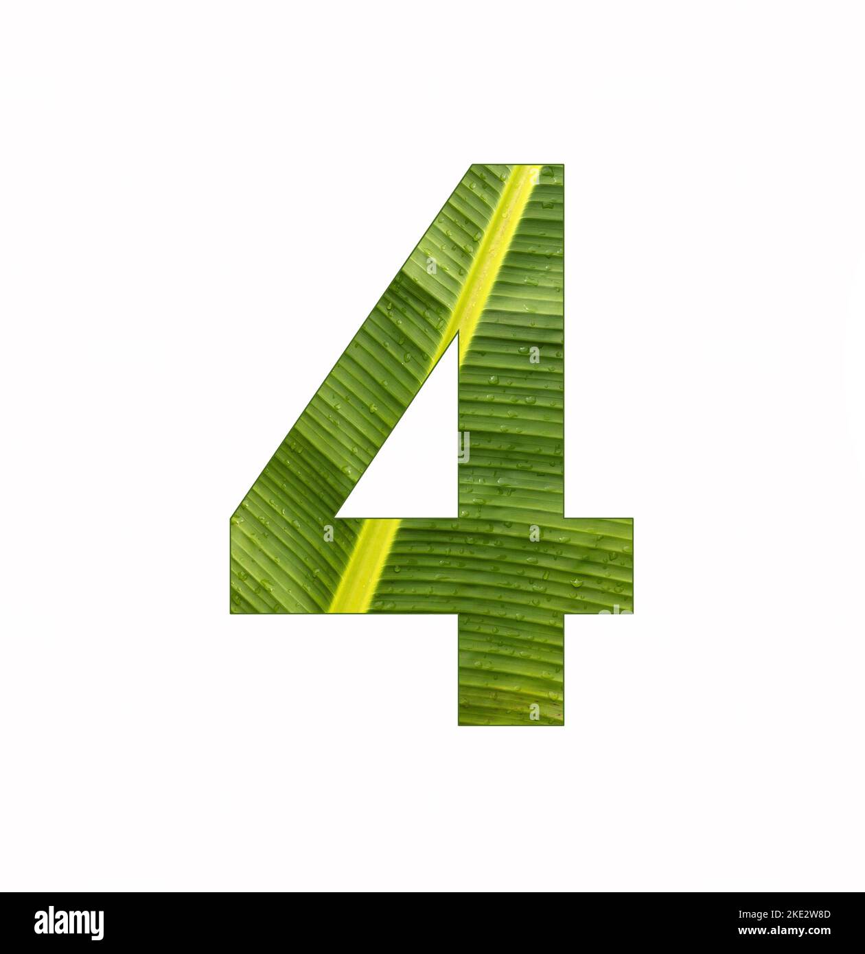 Number 4 - Digit four on banana plant leaf background Stock Photo - Alamy