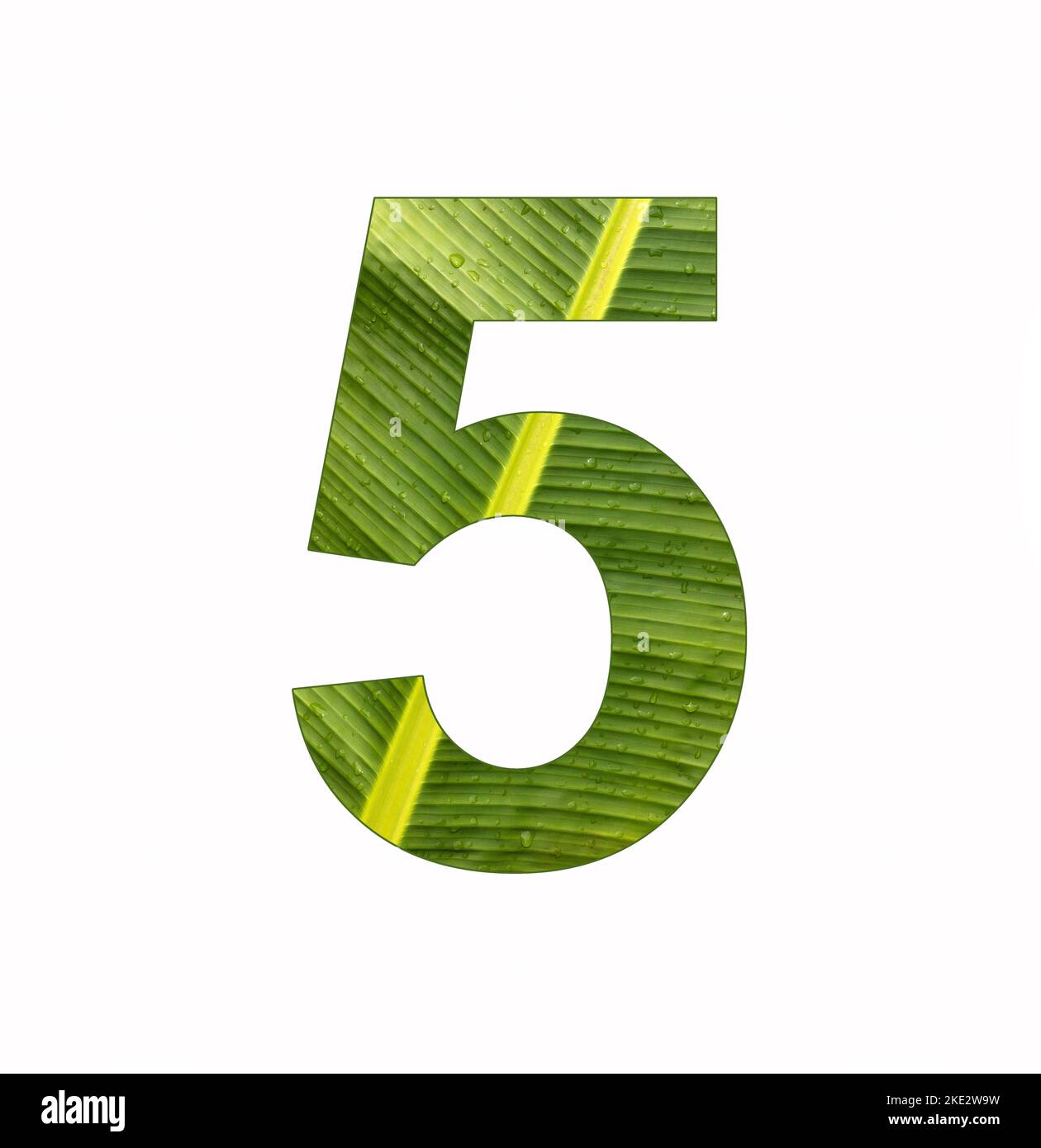 Number 5 - Digit five on banana plant leaf background Stock Photo - Alamy