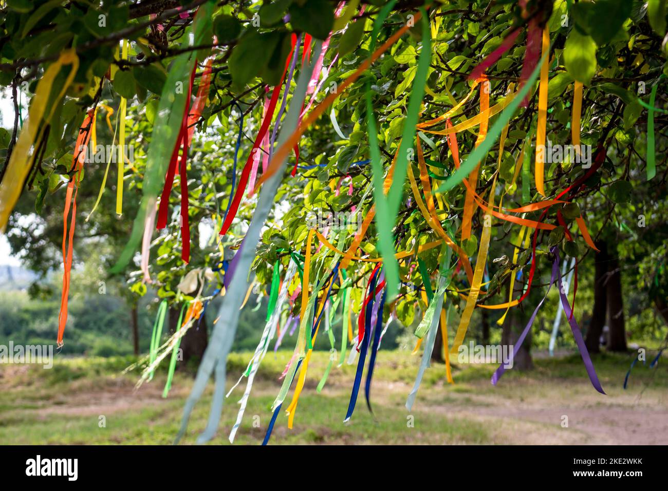 Colored wish ribbons tied on the branches of a tree close up Stock ...