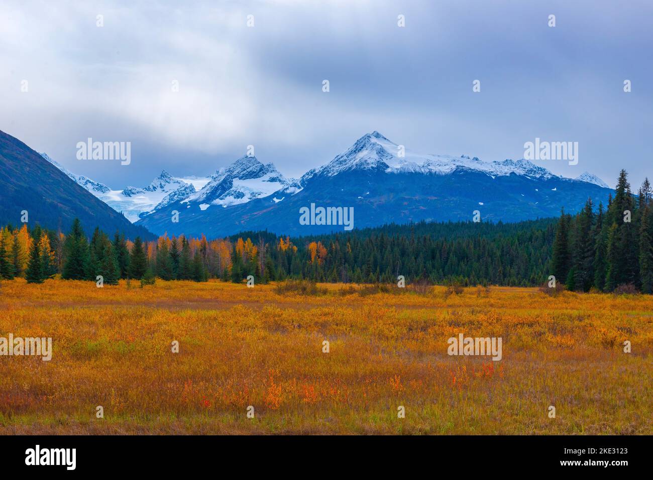 Scenic drive way hi-res stock photography and images - Alamy