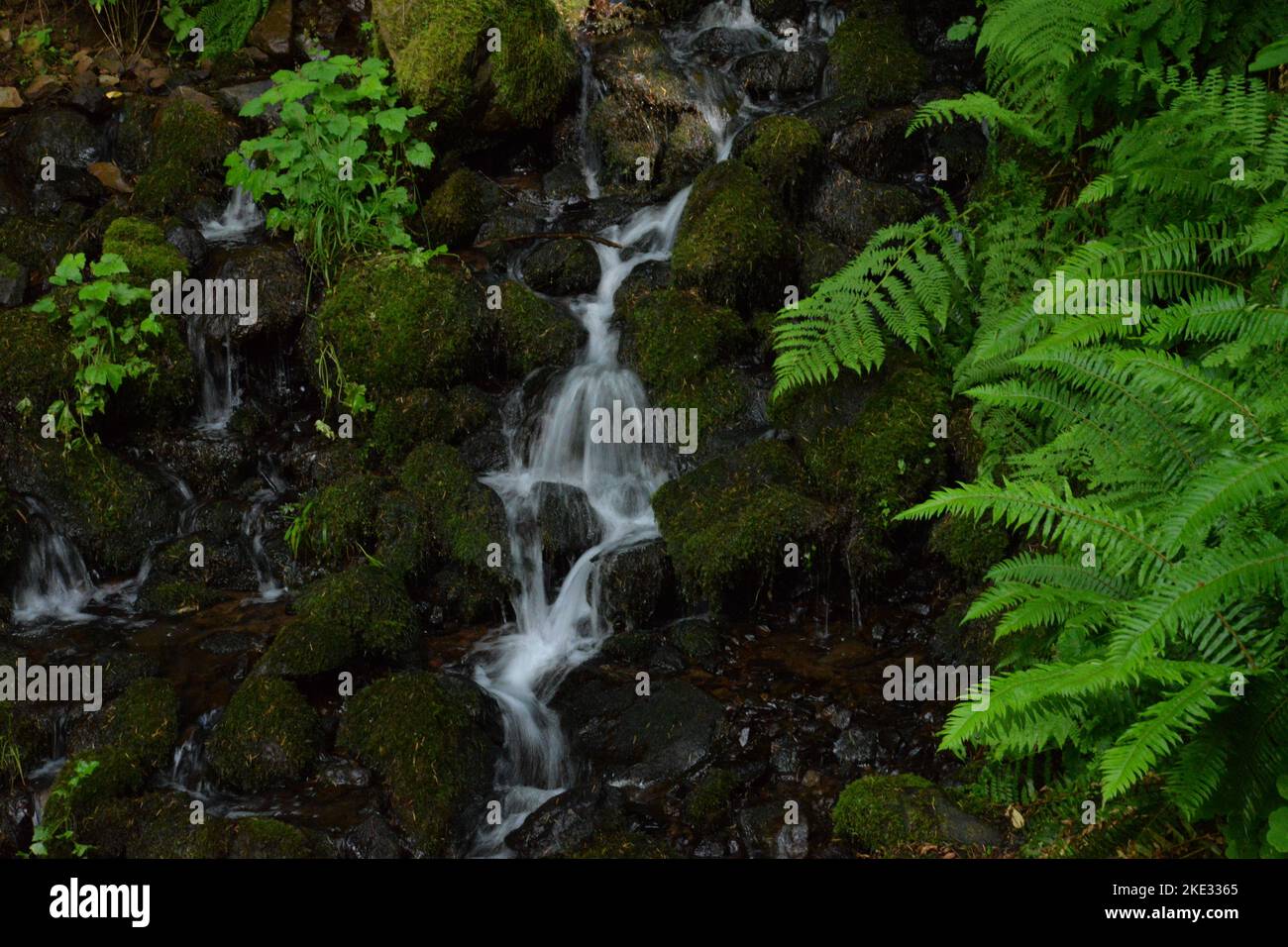 Numerous Waterfalls Dot the Landscape in Olympic National Park in ...