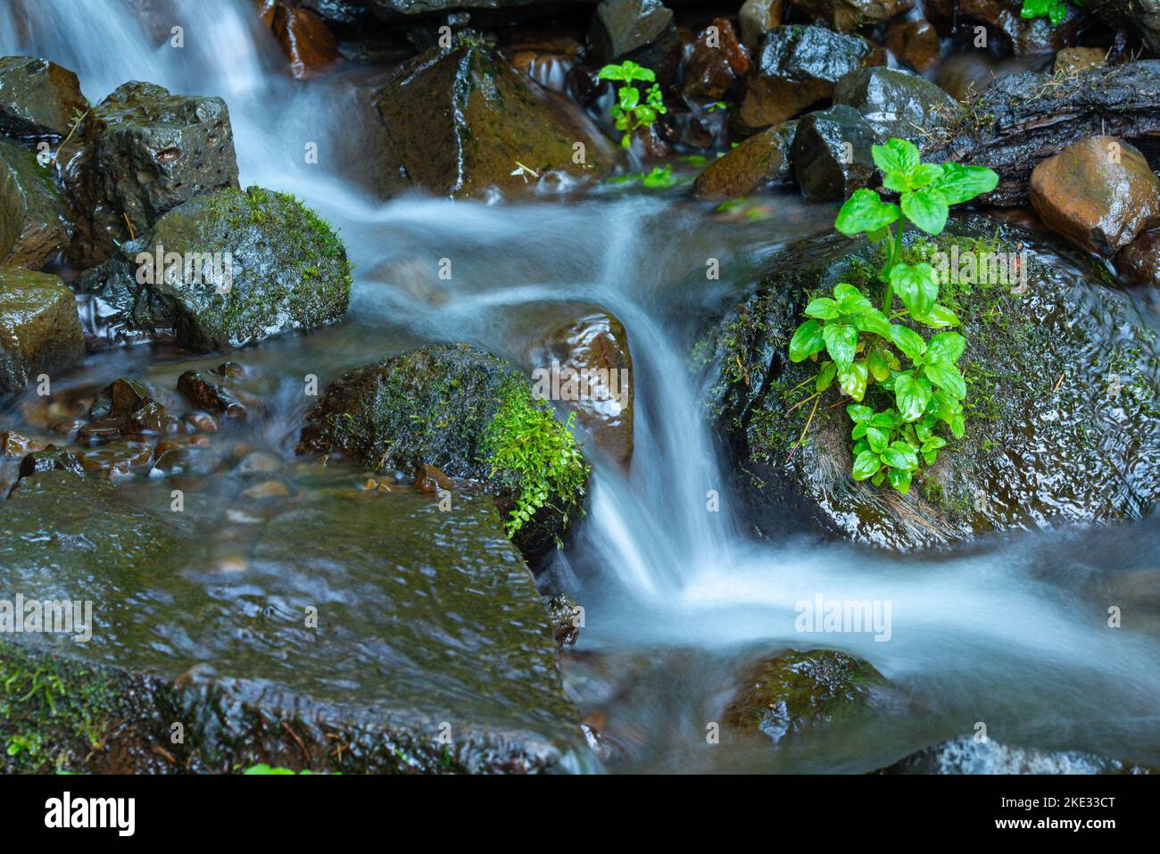 Numerous Waterfalls Dot the Landscape in Olympic National Park in ...