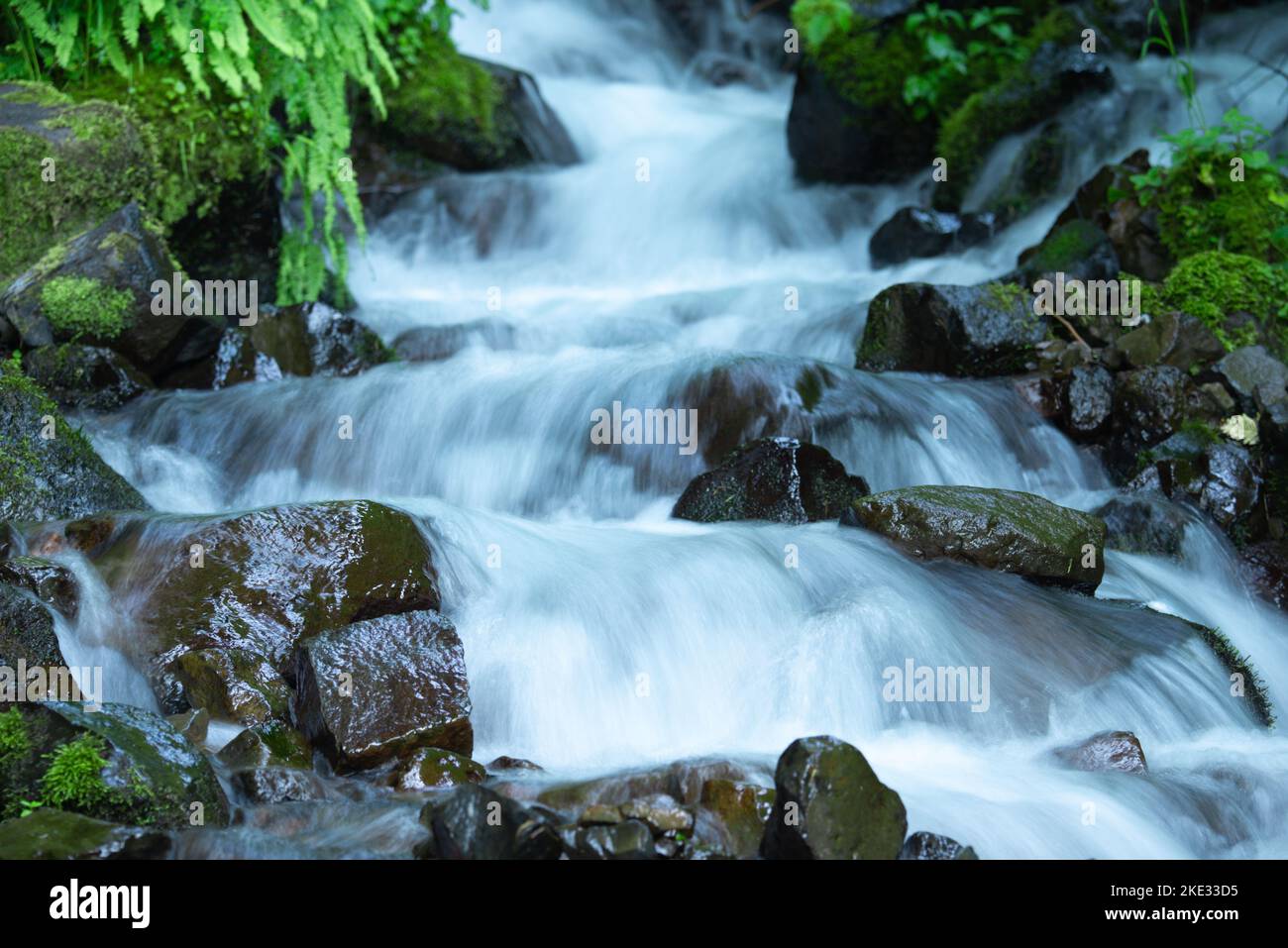 Numerous Waterfalls Dot the Landscape in Olympic National Park in ...