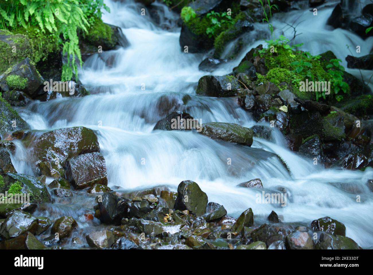 Numerous Waterfalls Dot the Landscape in Olympic National Park in ...