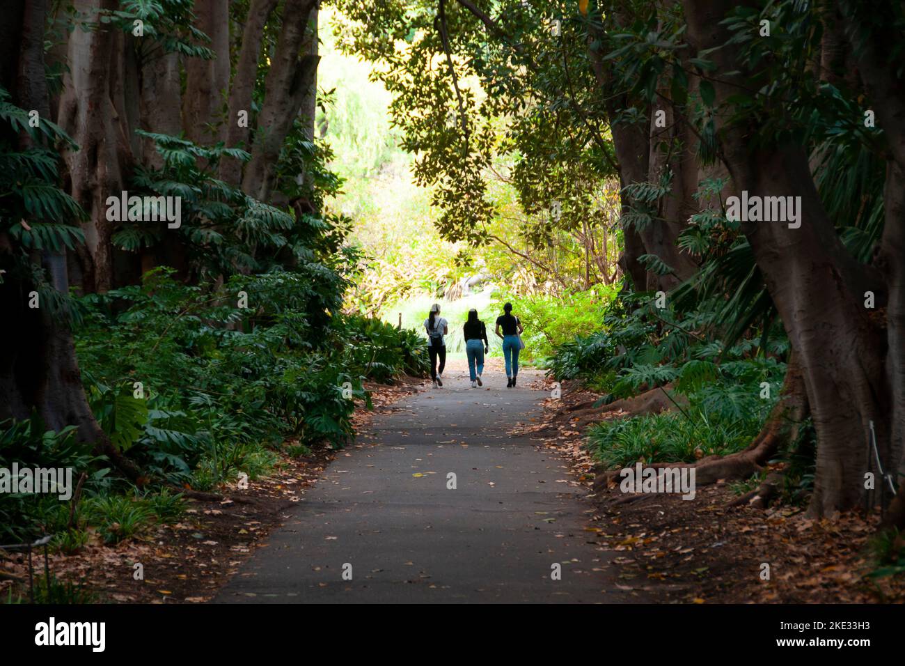 Adelaide Botanic Garden - Australia Stock Photo - Alamy