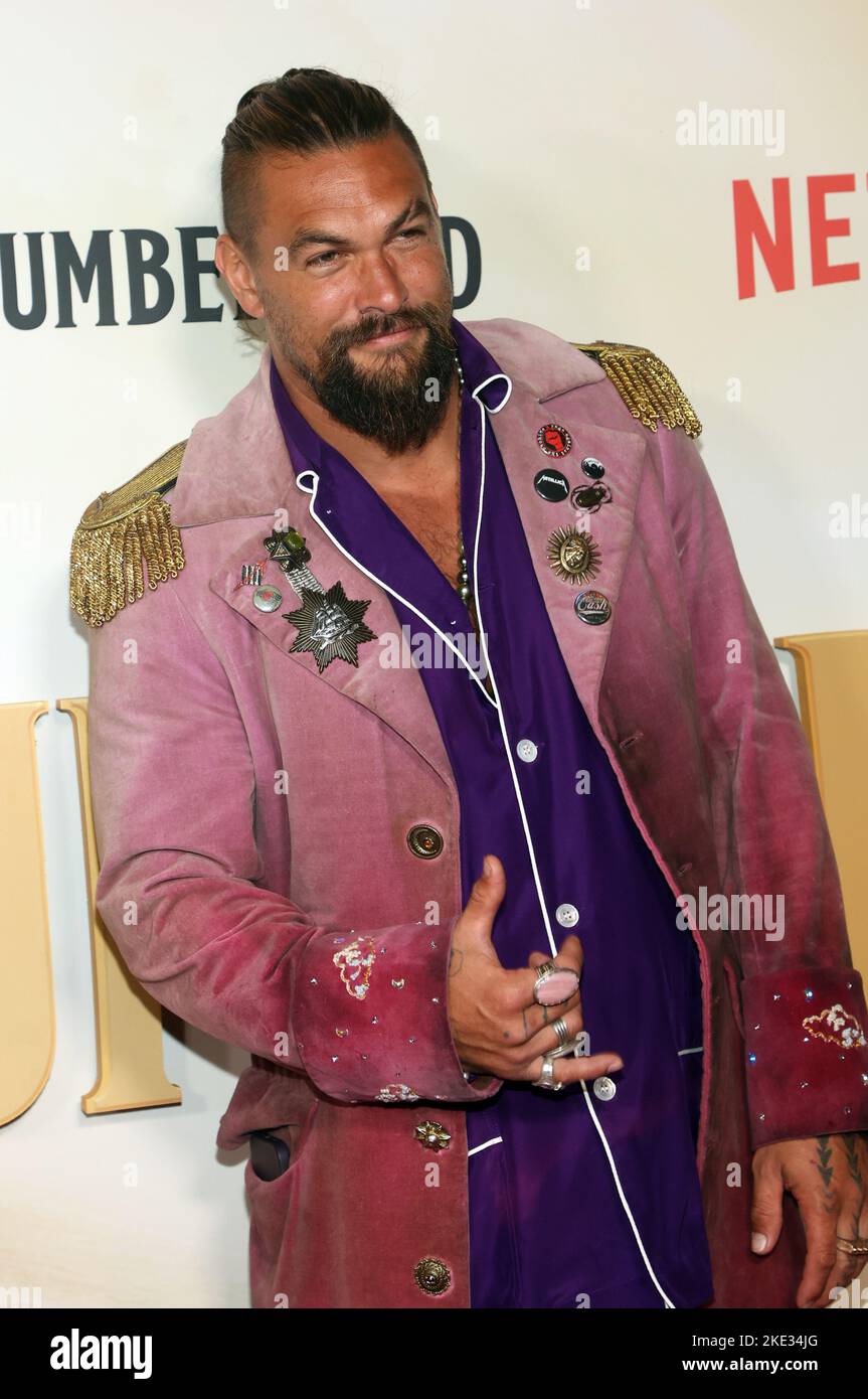 Los Angeles, Ca. 9th Nov, 2022. Jason Momoa at the LA premiere of ...
