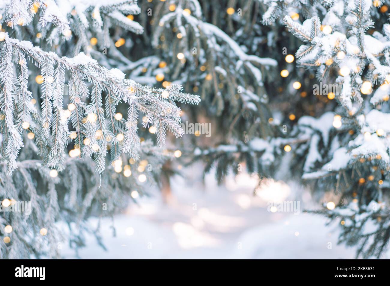 Outside Christmas tree in snow background with lights from garlands ...