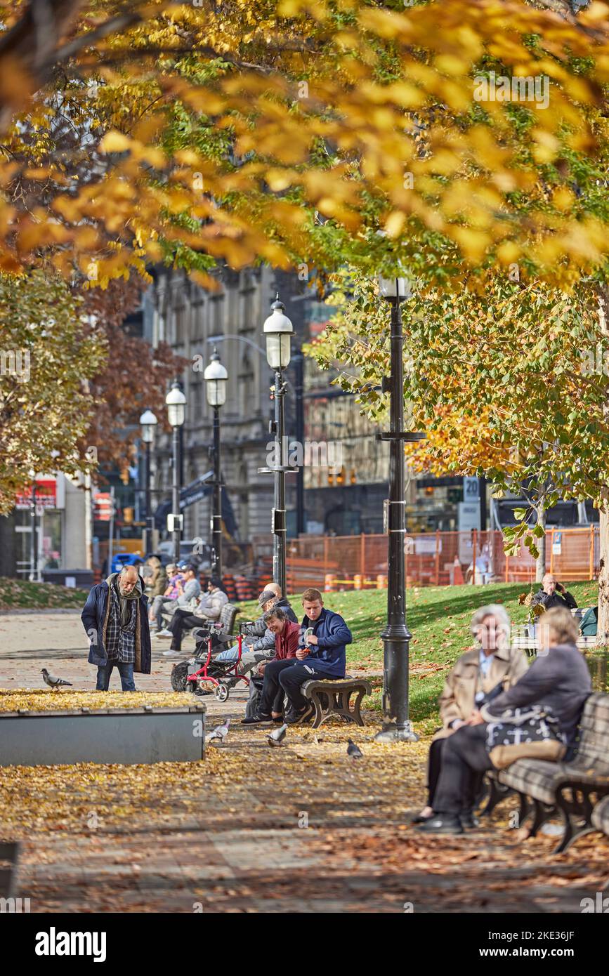 Berczy Park Claude Cormier CCxA Stock Photo - Alamy