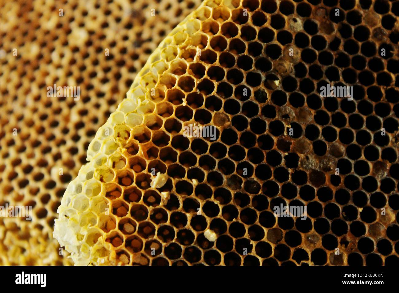 Hexagon object hi-res stock photography and images - Alamy