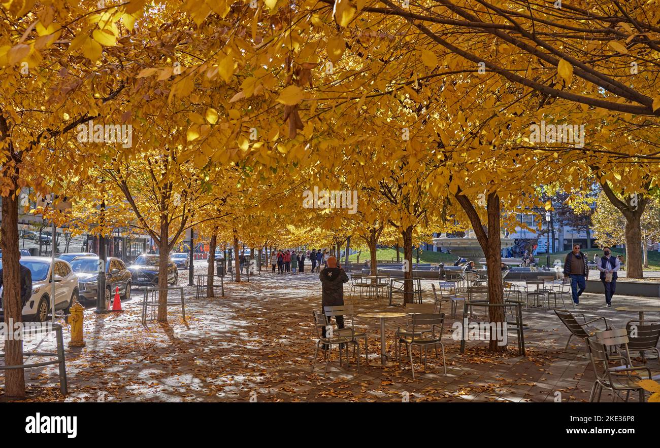 Berczy Park Claude Cormier CCxA Stock Photo - Alamy
