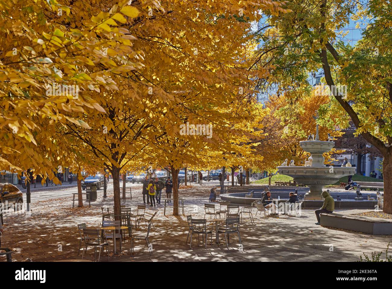 Berczy Park Claude Cormier CCxA Stock Photo - Alamy