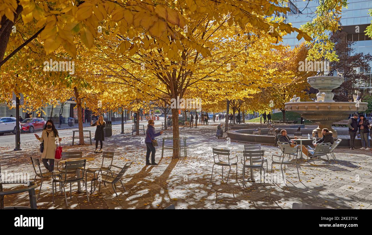 Berczy Park Claude Cormier CCxA Stock Photo - Alamy