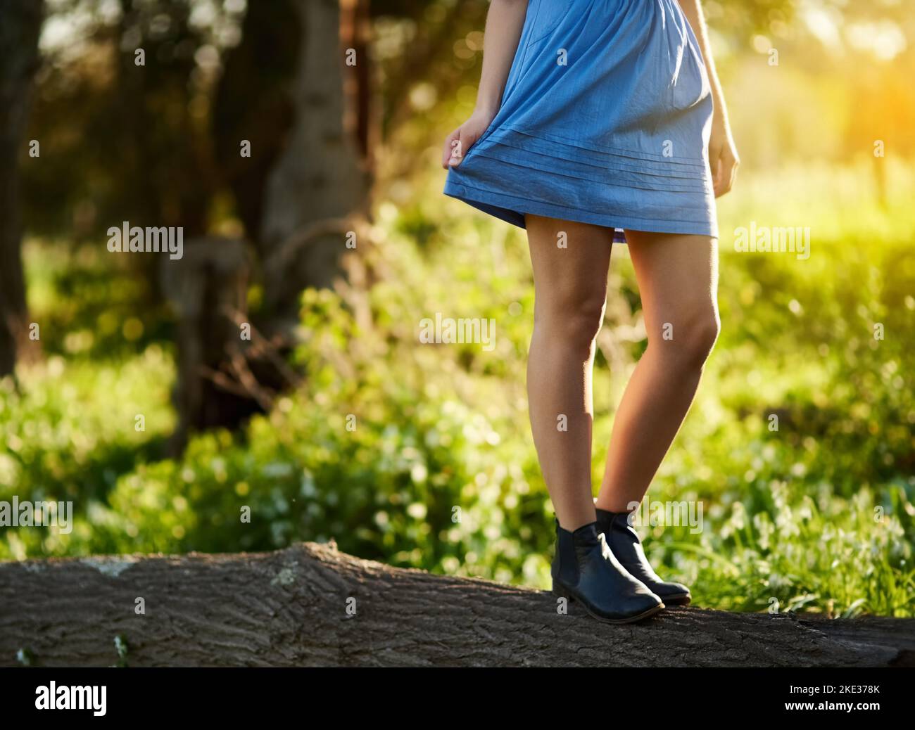 Dressed for the countryside. a young woman on a tree stump out in the ...
