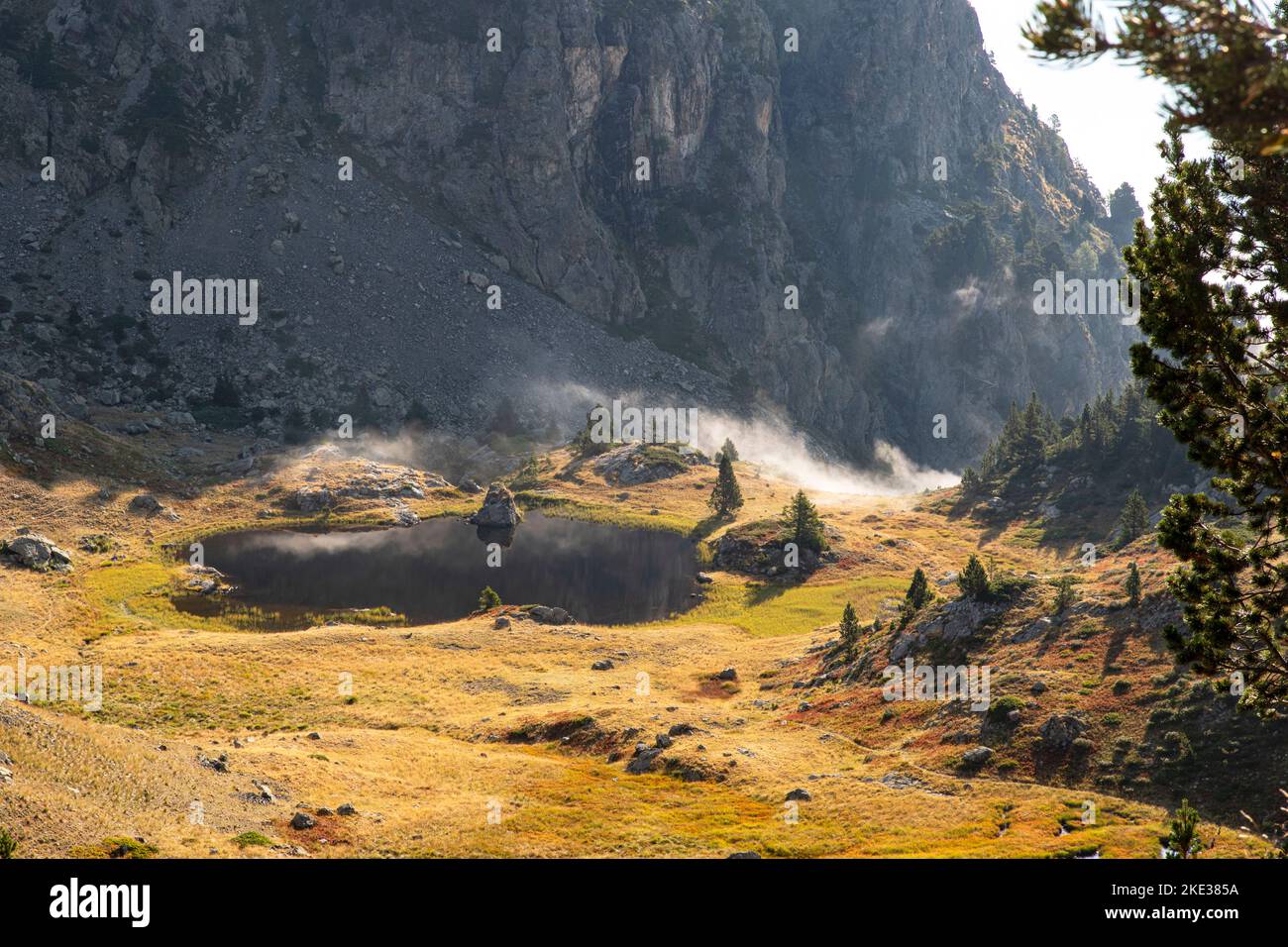 Mountain landscape in summer in Chamrousse in the Alps, France Stock ...