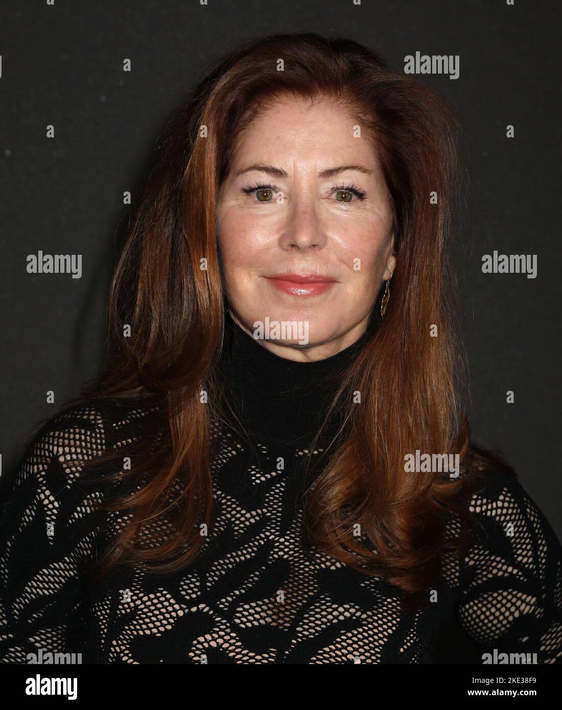 Dana delany 2022 hi-res stock photography and images - Alamy