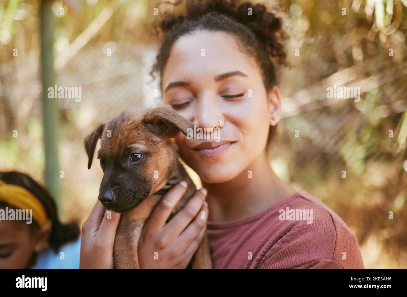 Animal shelter hi-res stock photography and images - Alamy
