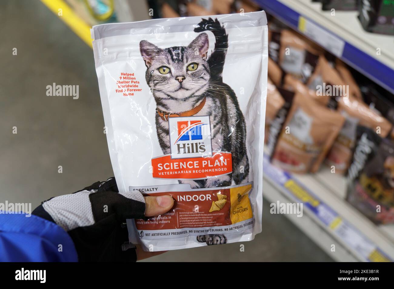 Tyumen, Russia-August 17, 2022: Hills cat food packaging. Selective ... Tyumen, Russia-August 17, 2022: Hills cat food packaging. Selective ...