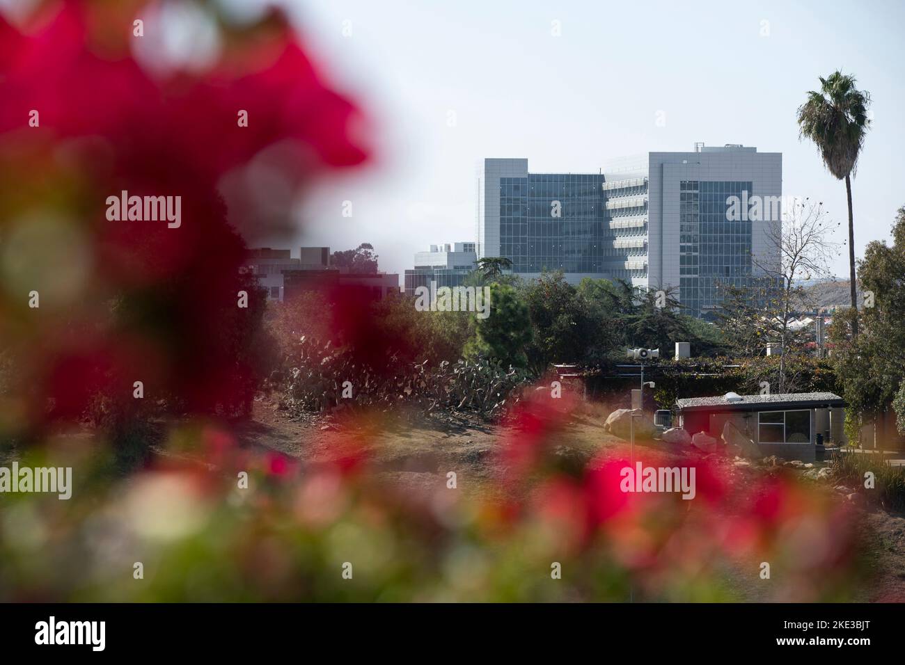 Daytime view of the downtown skyline of San Marcos, California, USA ...