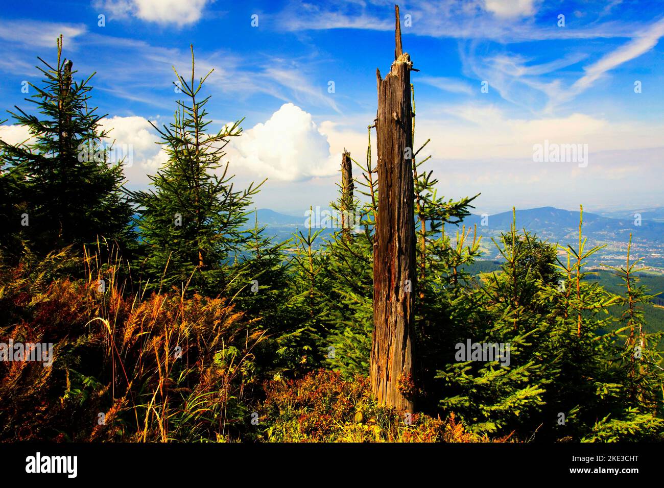 Autumn on Lysa Hora in the Beskydy Mountains in Moravia in the Czech ... Autumn on Lysa Hora in the Beskydy Mountains in Moravia in the Czech ...