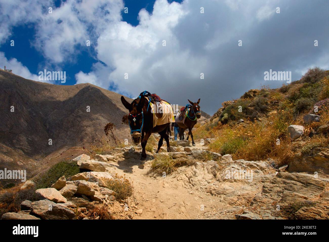 Donkey trail to Ancient Thera on the island of Santorini in the Aegean ...