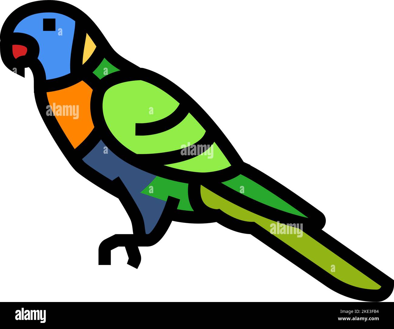 rainbow lorikeet bird exotic color icon vector illustration Stock ...