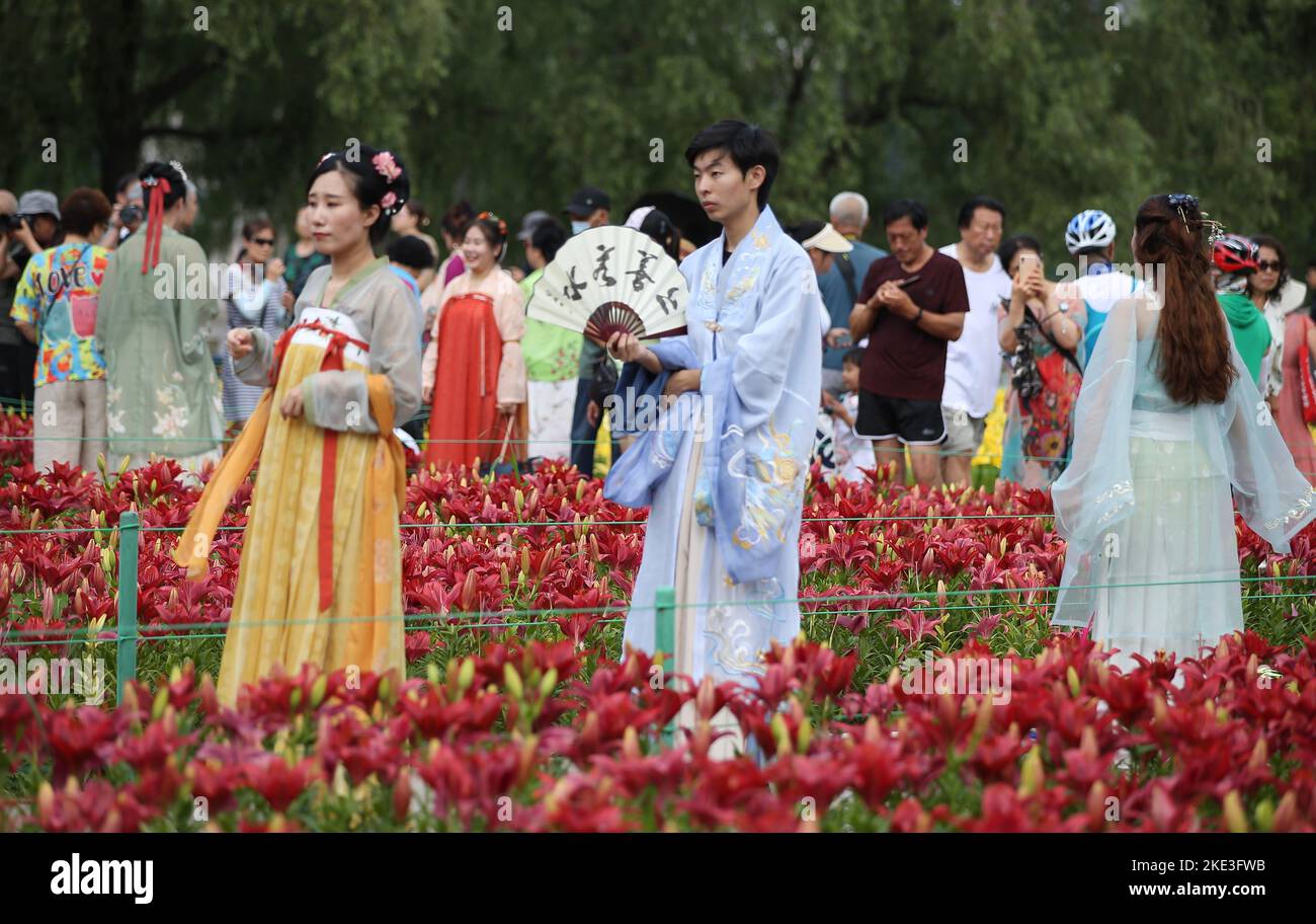 The 2nd Lily Han Culture Festival opened at Huatian Square on the bank ...
