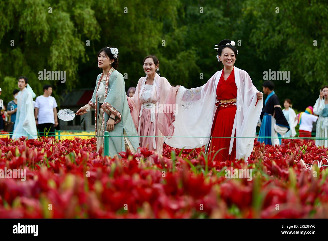 The 2nd Lily Han Culture Festival opened at Huatian Square on the bank ...