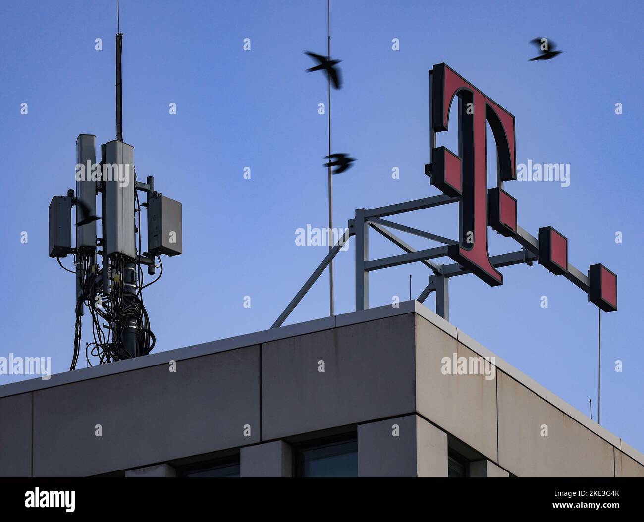 Bonn, Germany. 10th Nov, 2022. Birds fly over the logo of Deutsche ...