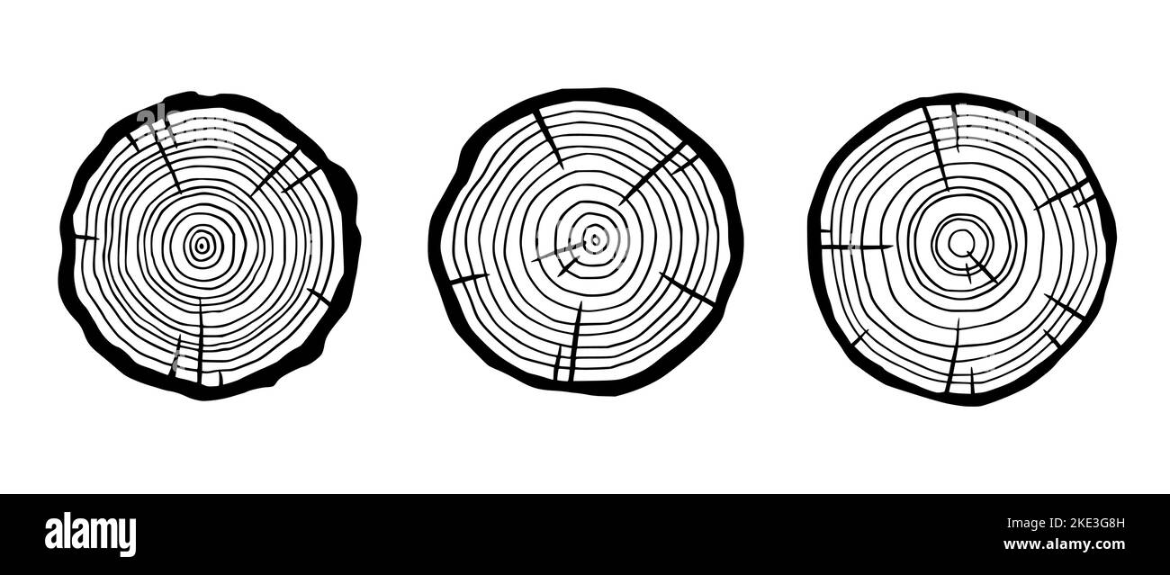 Tree ring wood circle set. Hand drawn tree ring pattern, line ripple ...